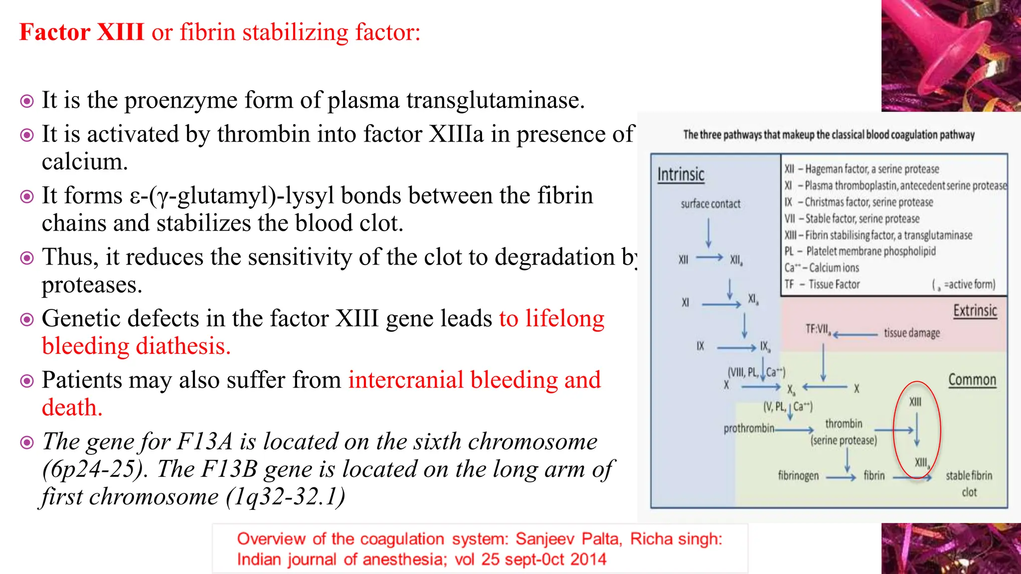 bleeding disorders and its treatment .pptx