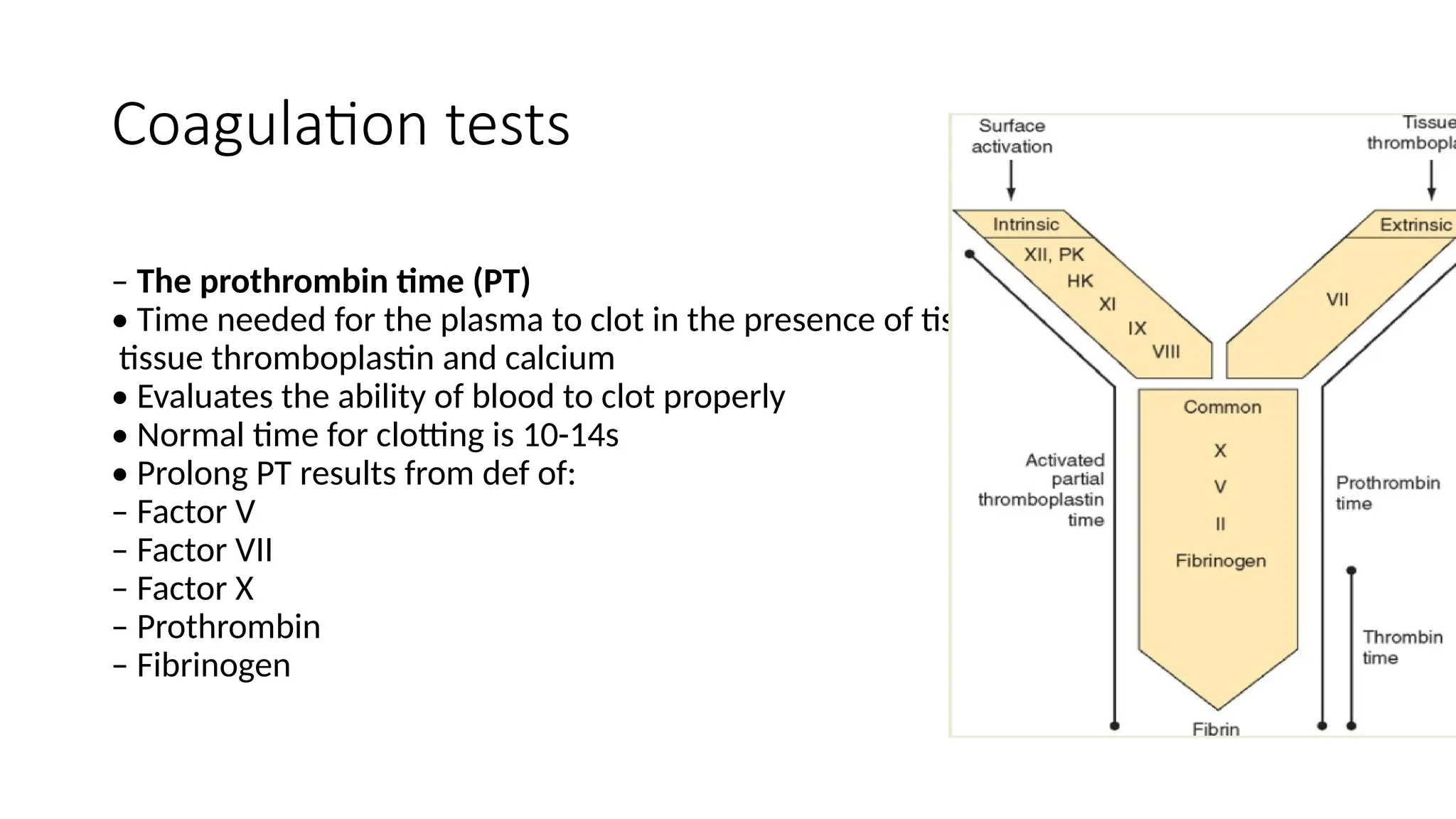 BLEEDING DISORDERS detailed breakdown of management | PPTX