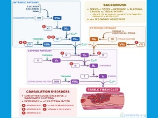 Common Bleeding disorders -PEDIATRICS.pptx