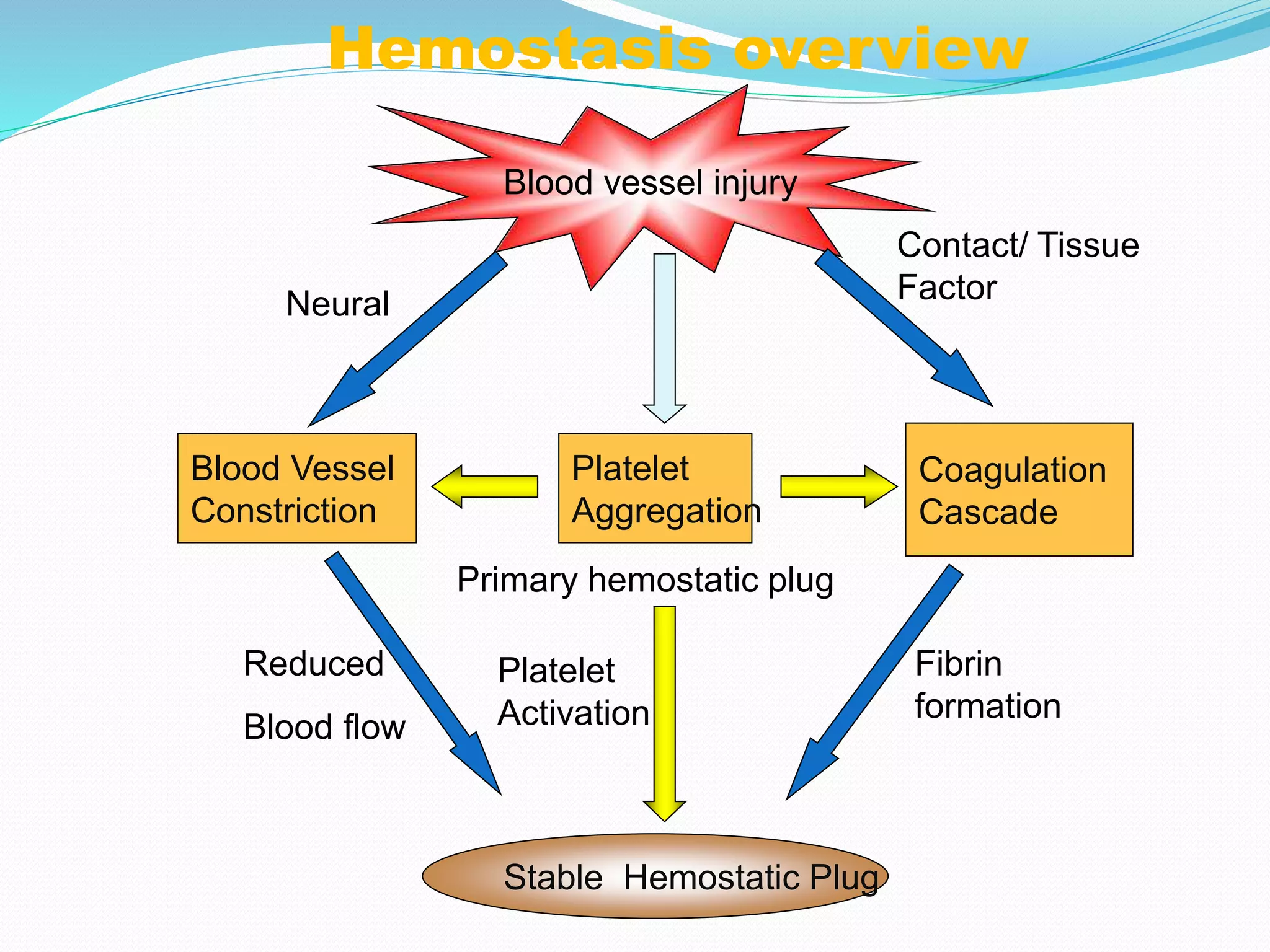 Bleeding disorders Pathology Dr. UMME HABIBA | PPTX