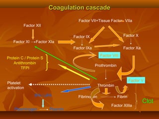 Coagulation Proteins and Bleeding Disorders | PPT