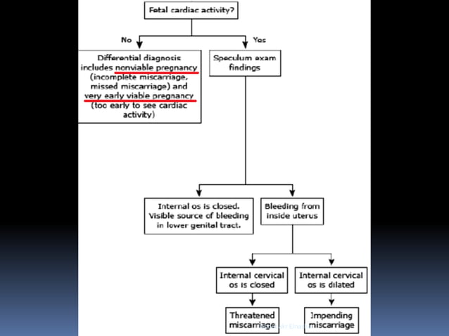 FIRST TRIMESTER BLEEDING | PPT