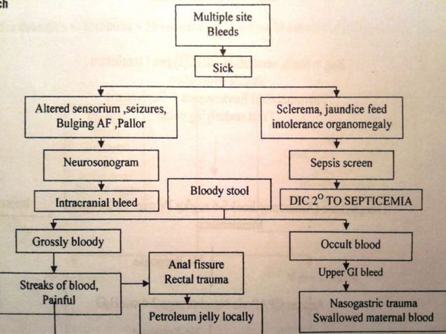 Bleeding neonate | PPTX | Blood Disorders | Diseases and Conditions