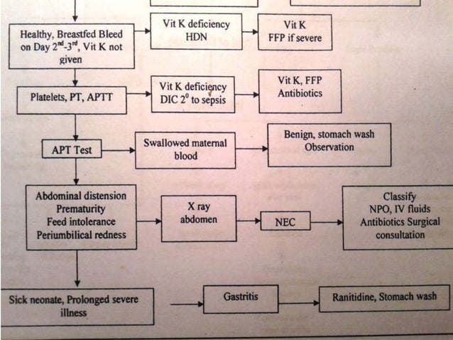 Bleeding neonate | PPTX | Blood Disorders | Diseases and Conditions