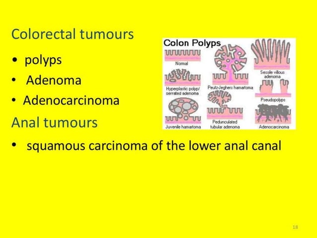 BLEEDING PER RECTUM BASIC MEDICAL KNOWLEDGE & MANAGEMENT.ppt