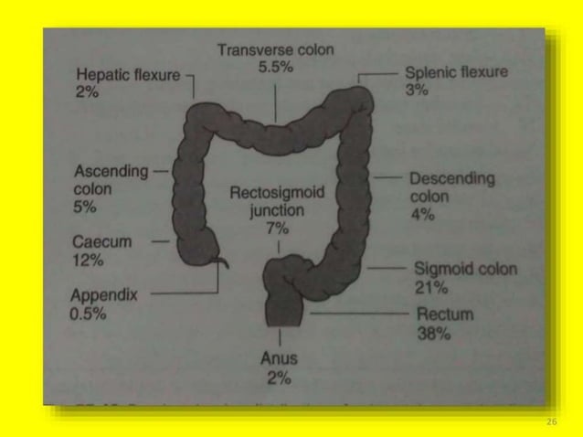 BLEEDING PER RECTUM BASIC MEDICAL KNOWLEDGE & MANAGEMENT.ppt