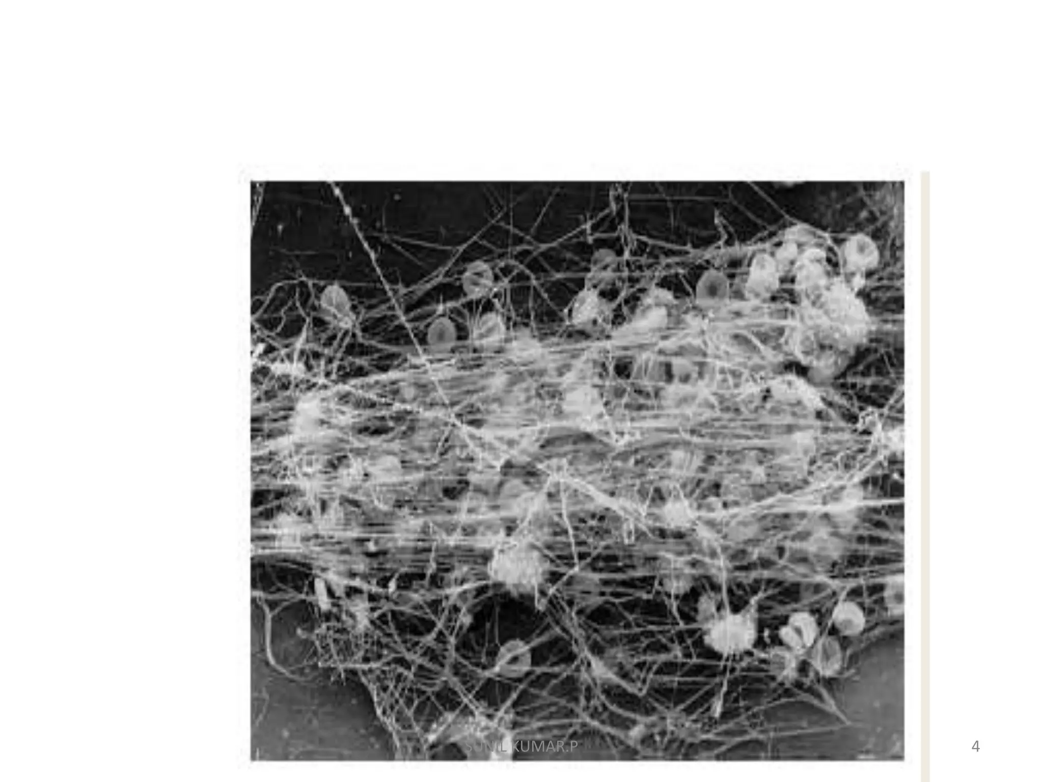 Bleeding time and clotting time | PPTX