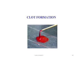 Blood Coagulation Time