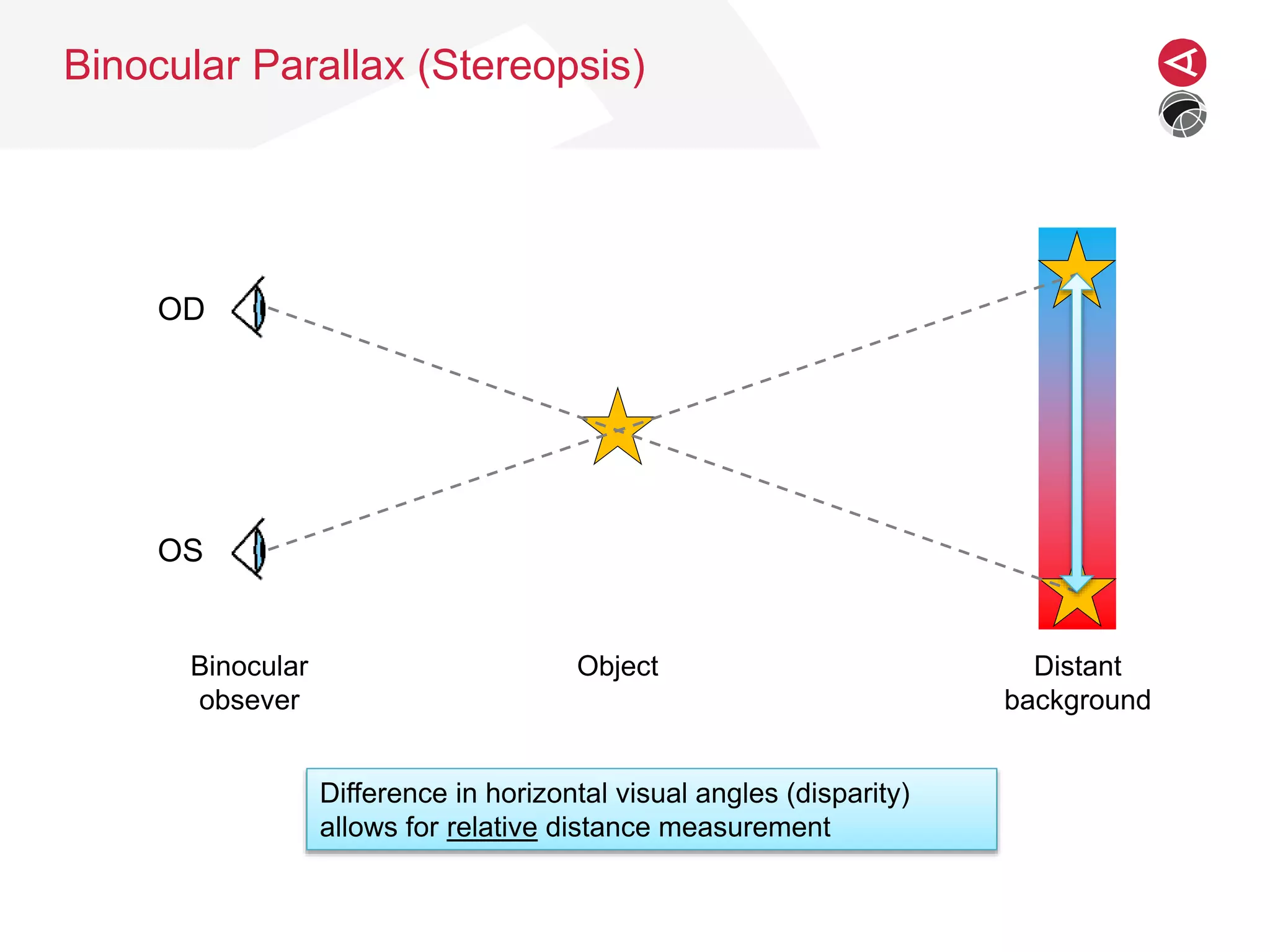 Blended versus Emmetropic Vision | PPTX