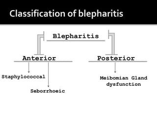 Blepharitis : Overview and management | PPTX