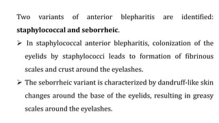 Blepharitis Eye disorder Medical Surgical Nursing-II | PPTX