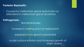 Blepharitis - diagnosis and management . | PPTX