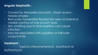 Blepharitis - diagnosis and management . | PPTX | Eye and Vision Conditions | Diseases and ...