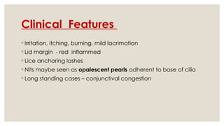 Blepharitis clinical features and management ppt | PPTX
