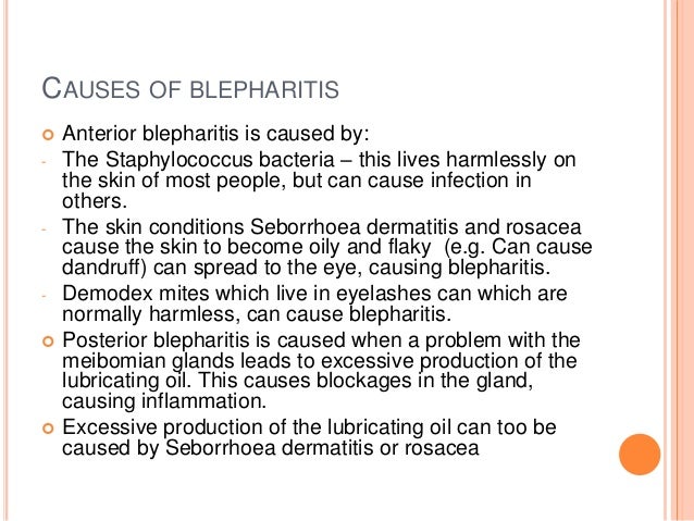 Seborrheic Blepharitis Treatment