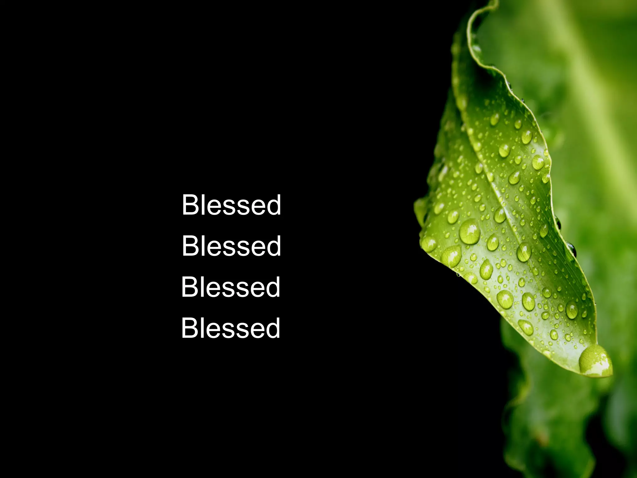 Blessed | PPT