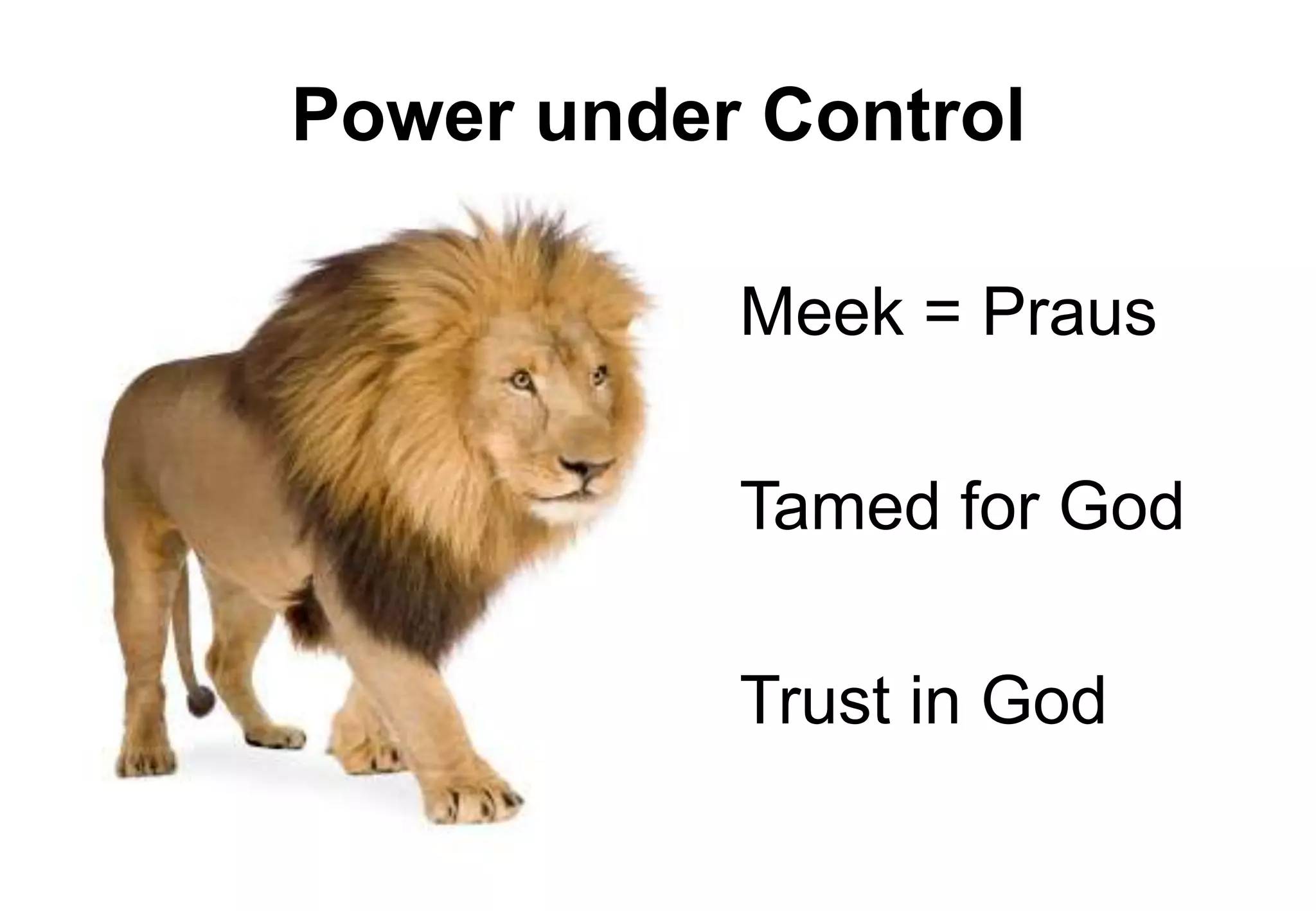 Blessed are the meek – Matthew 5:5 | PPTX