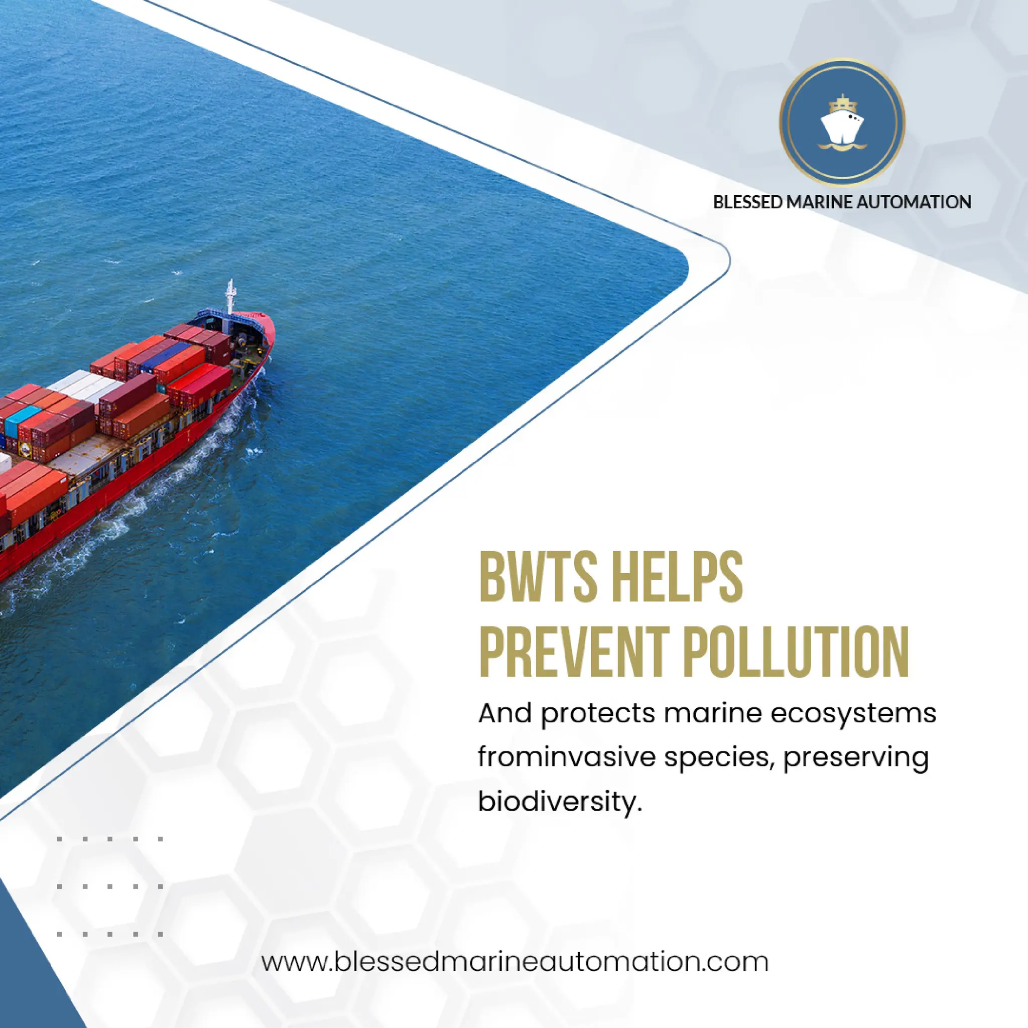 Importance of BWTS in the Maritime Industry | PDF