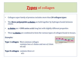 Blessing BCH.pptx | Chemistry | Science