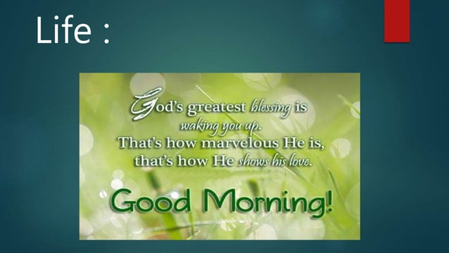 Blessings of allah | PPTX