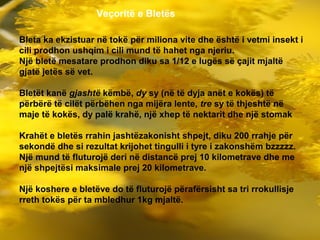 Bletet | PPT