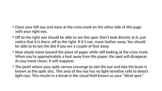 Blind spot identification- a necessity to self actualisation | PPT