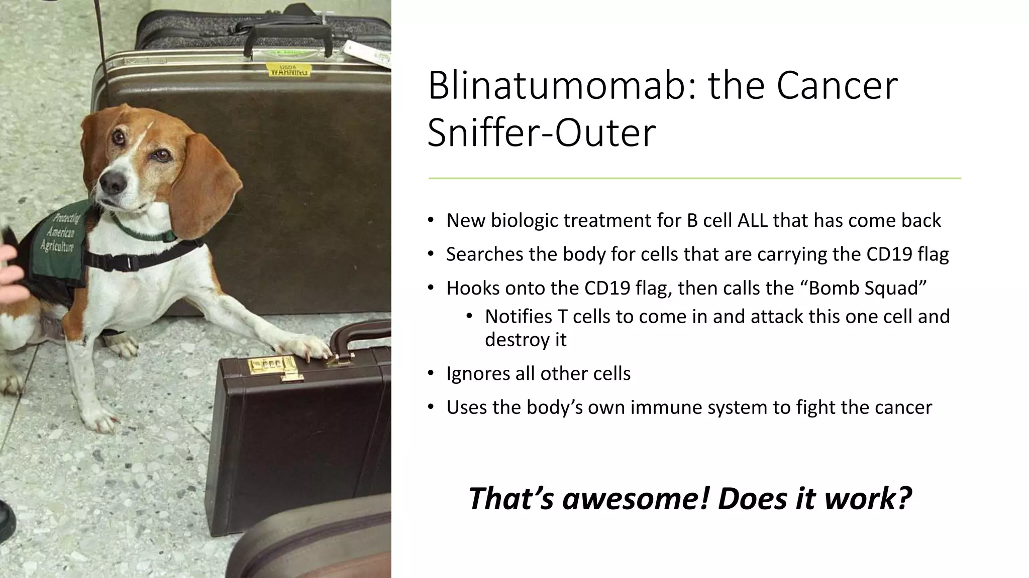 Blinatumomab | PPTX