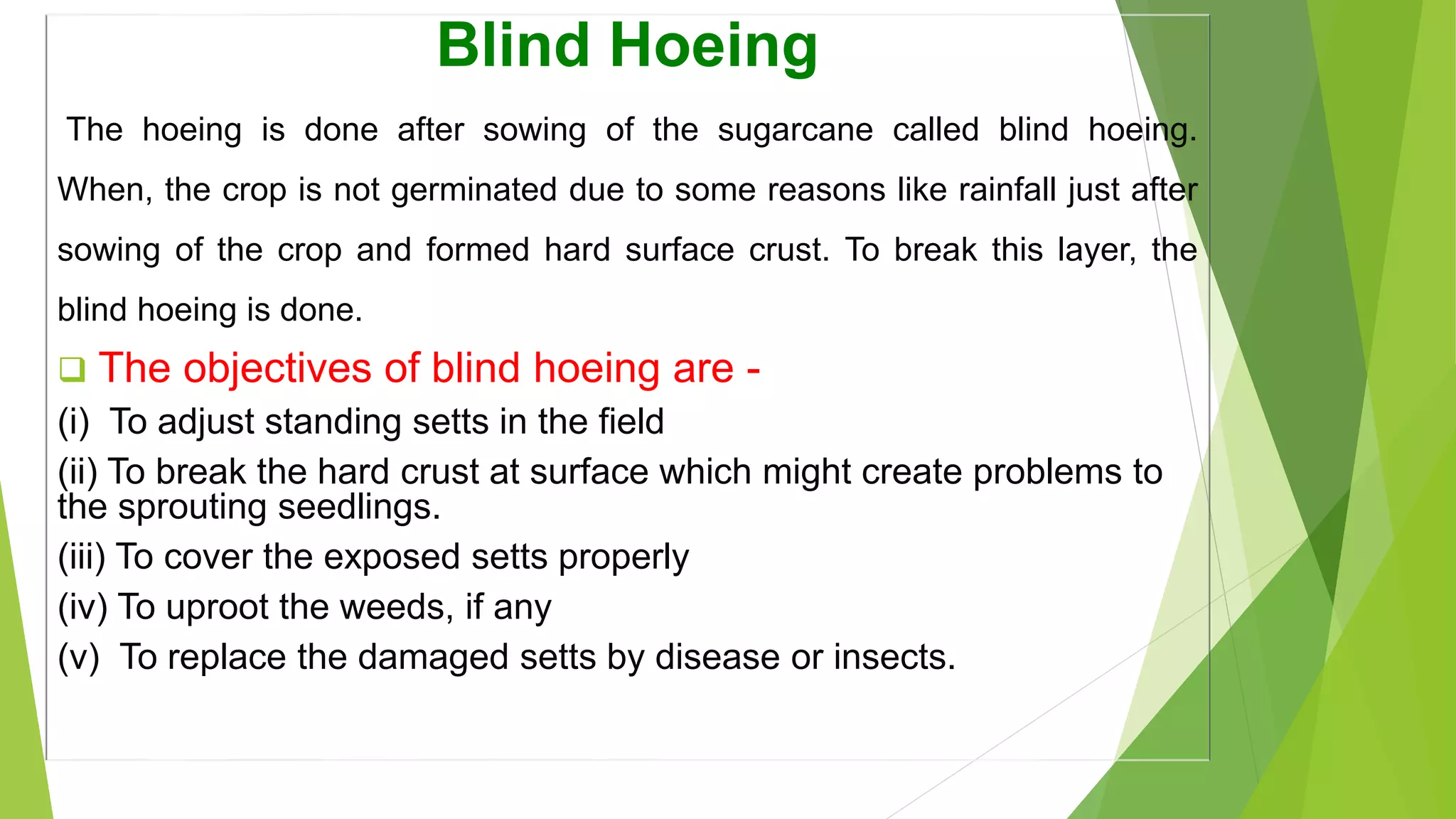 Blind hoeing | PPTX