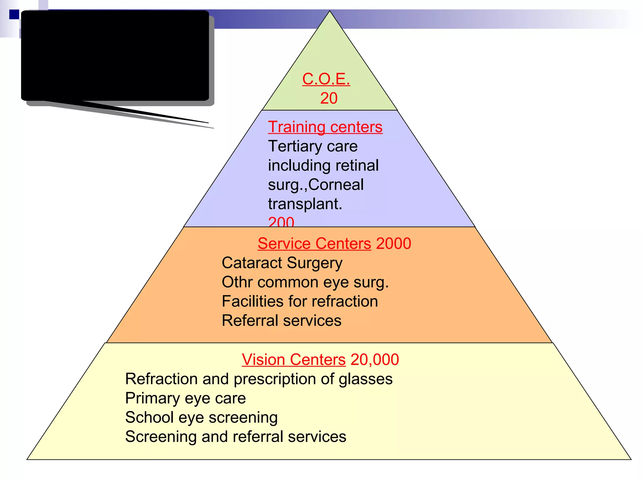 Blindness Prevention and Control | PPT