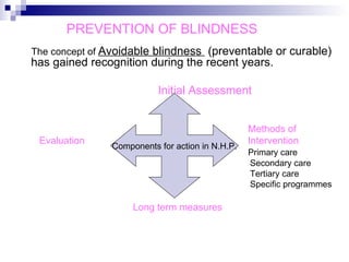Blindness Prevention and Control | PPT