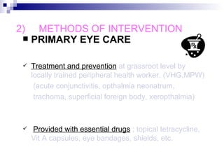 Blindness Prevention and Control | PPT
