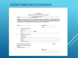 BLINDNESS.pptx