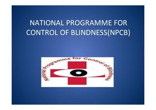 BLINDNESS program ppt | PPT