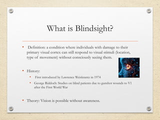 Blindsight_Neurobiology_Project_edited.pptx