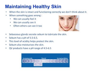 blinkqvbodytrainingmarch2024.pptx