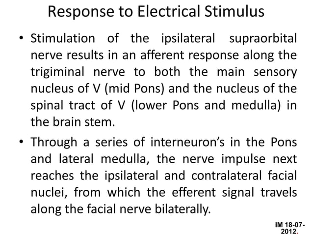 blink reflex nerve conduction velocity test | PPTX | Brain and Nervous ...