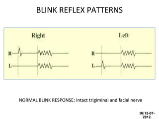 blink reflex nerve conduction velocity test | PPTX