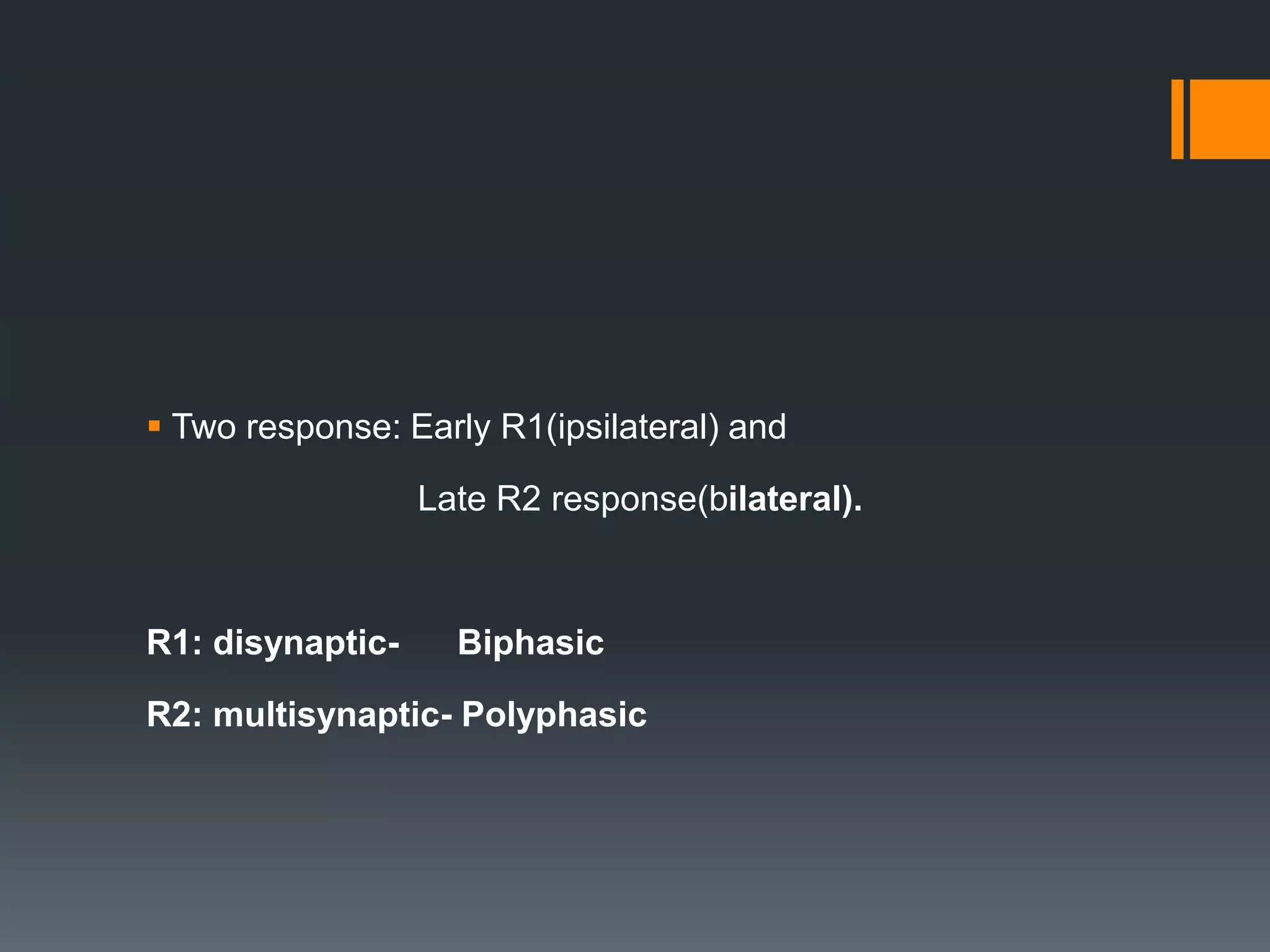 Blink reflex 1 | PPTX