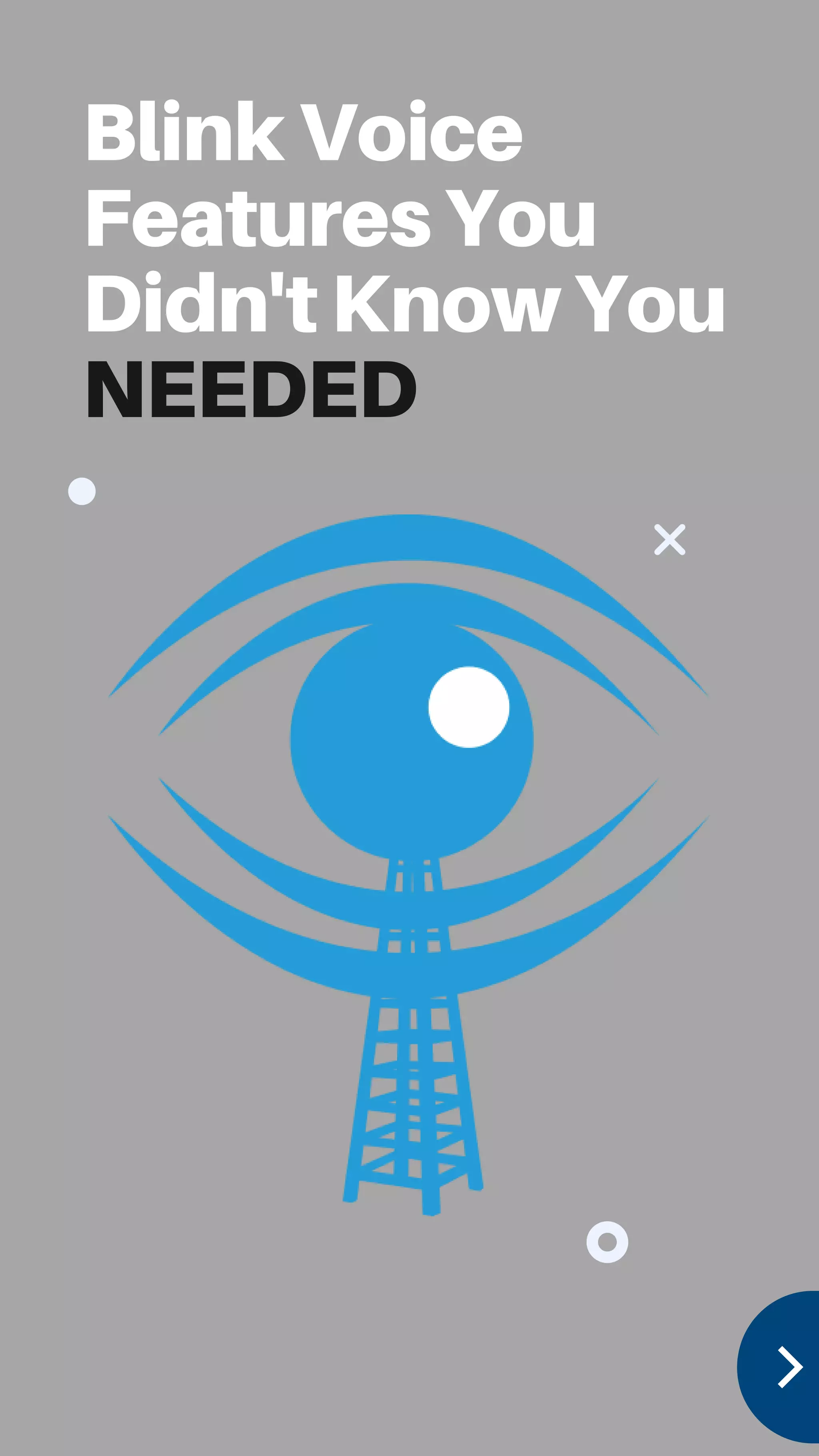 Blink Voice Features | PDF