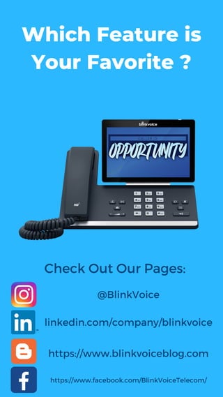 Blink Voice Features | PDF