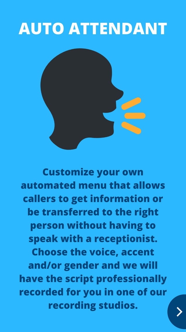 Blink Voice Features | PDF