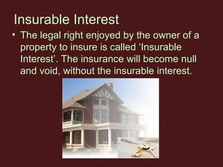 Bl insurance | PPT