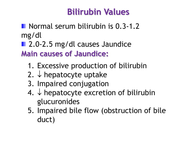 Bilirubin Metabolism Presentation Yr 2 CHOs 2023 - Copy.pptx