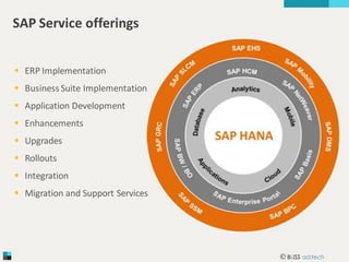 SAP Services | PDF