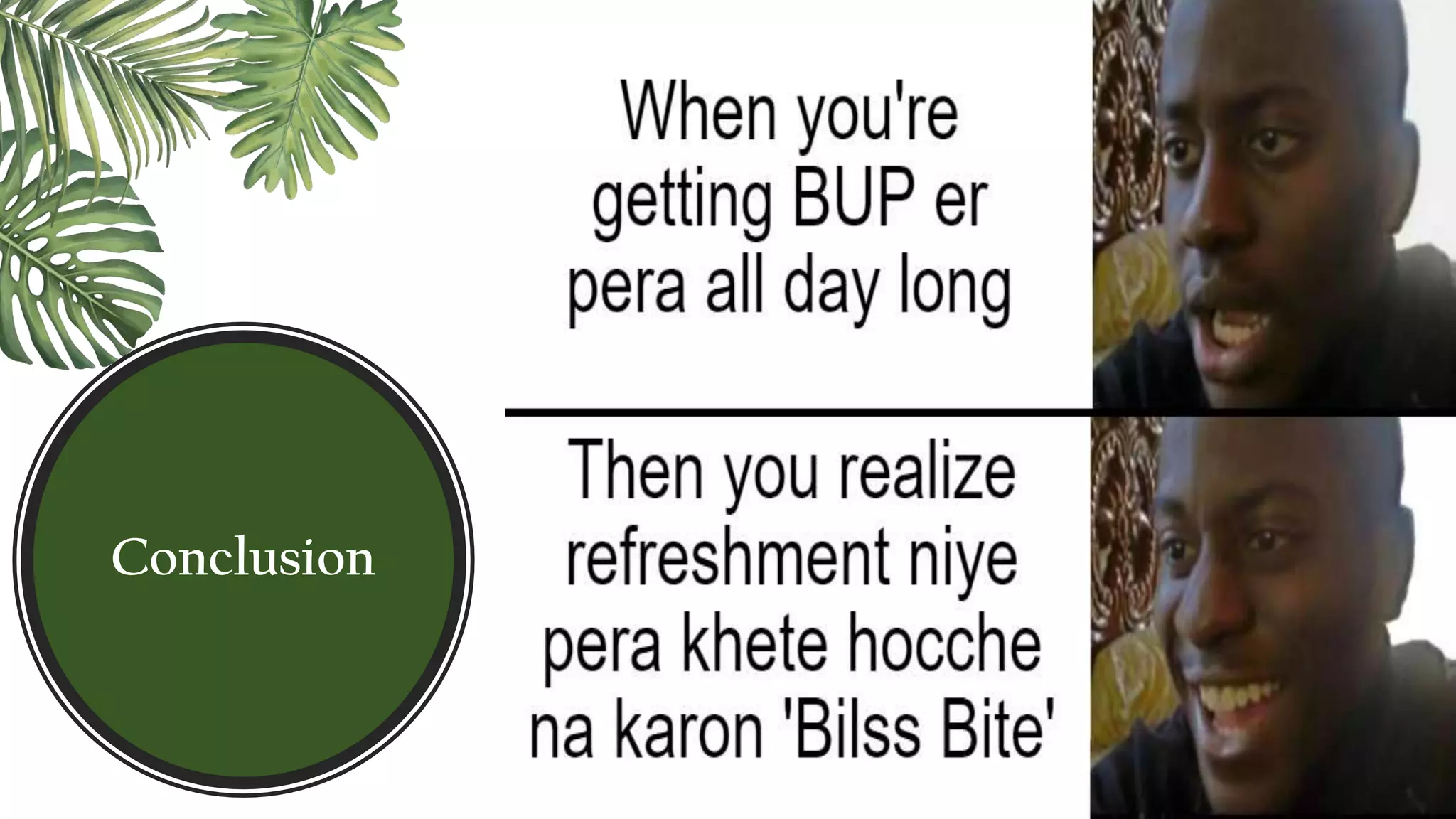 Bliss bite ppt.pptx