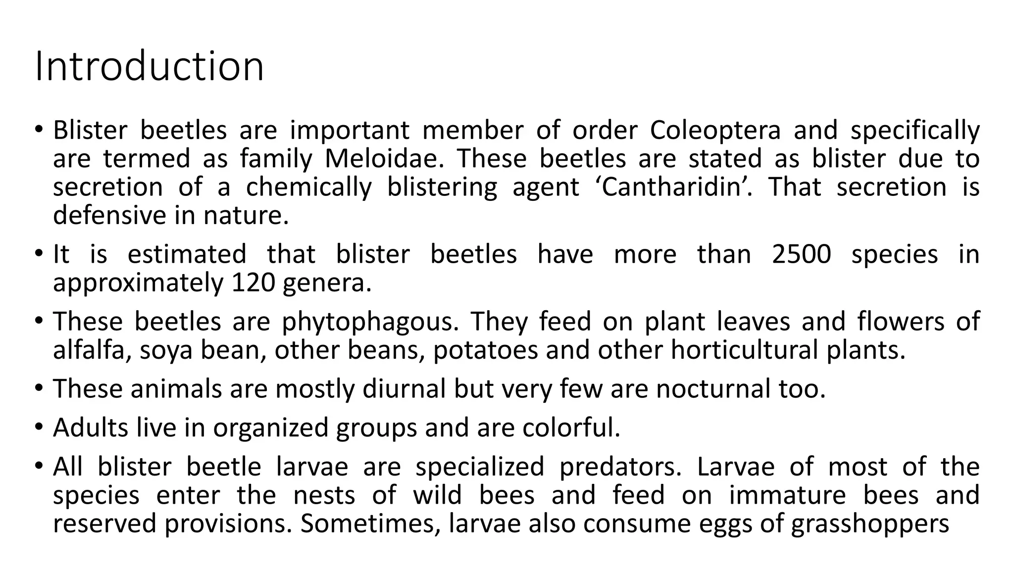 Blister beetles | PDF