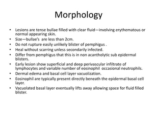 Blistering Bullous Disease by dr shahida kashif | PPTX