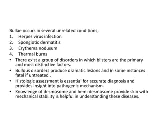 Blistering Bullous Disease by dr shahida kashif | PPTX