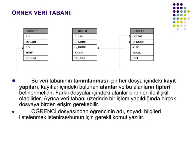 BÖLÜM-1-Veri-Tabanı-Yönetim-Sistemleri.pptx