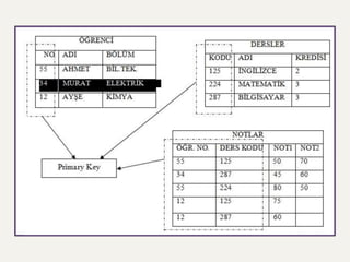 BÖLÜM-3-Veritabanı-Temel-Kavramları.pptx